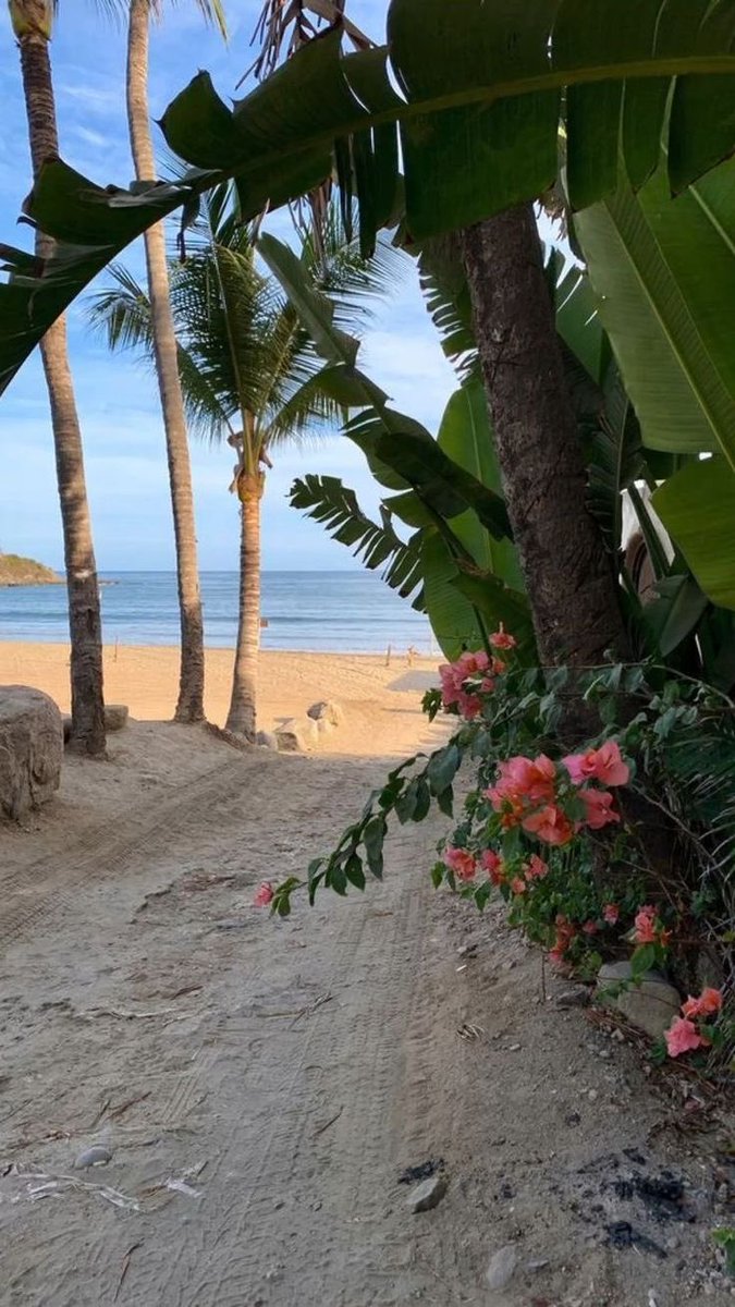 𝓰. on Twitter: "running errands, weights day at the gym, planning my trip to hawaii, deep ...