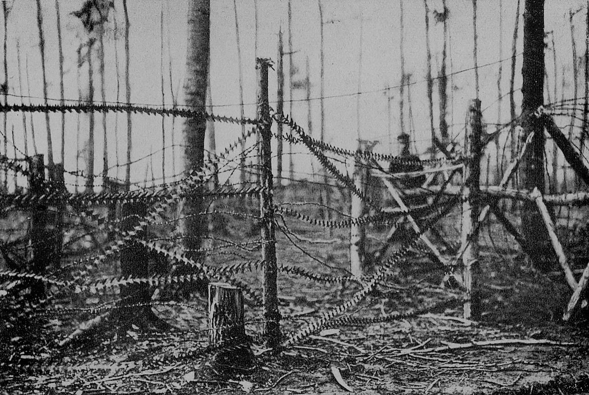 Barbed Wire Ww1
