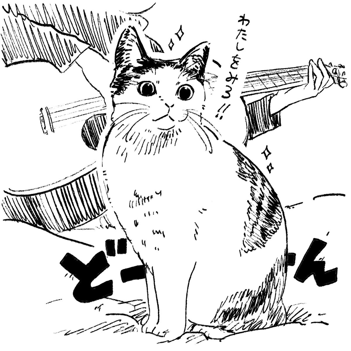 「冬は猫が四六時中くっついてきて最高ですね。 」maruyanの漫画