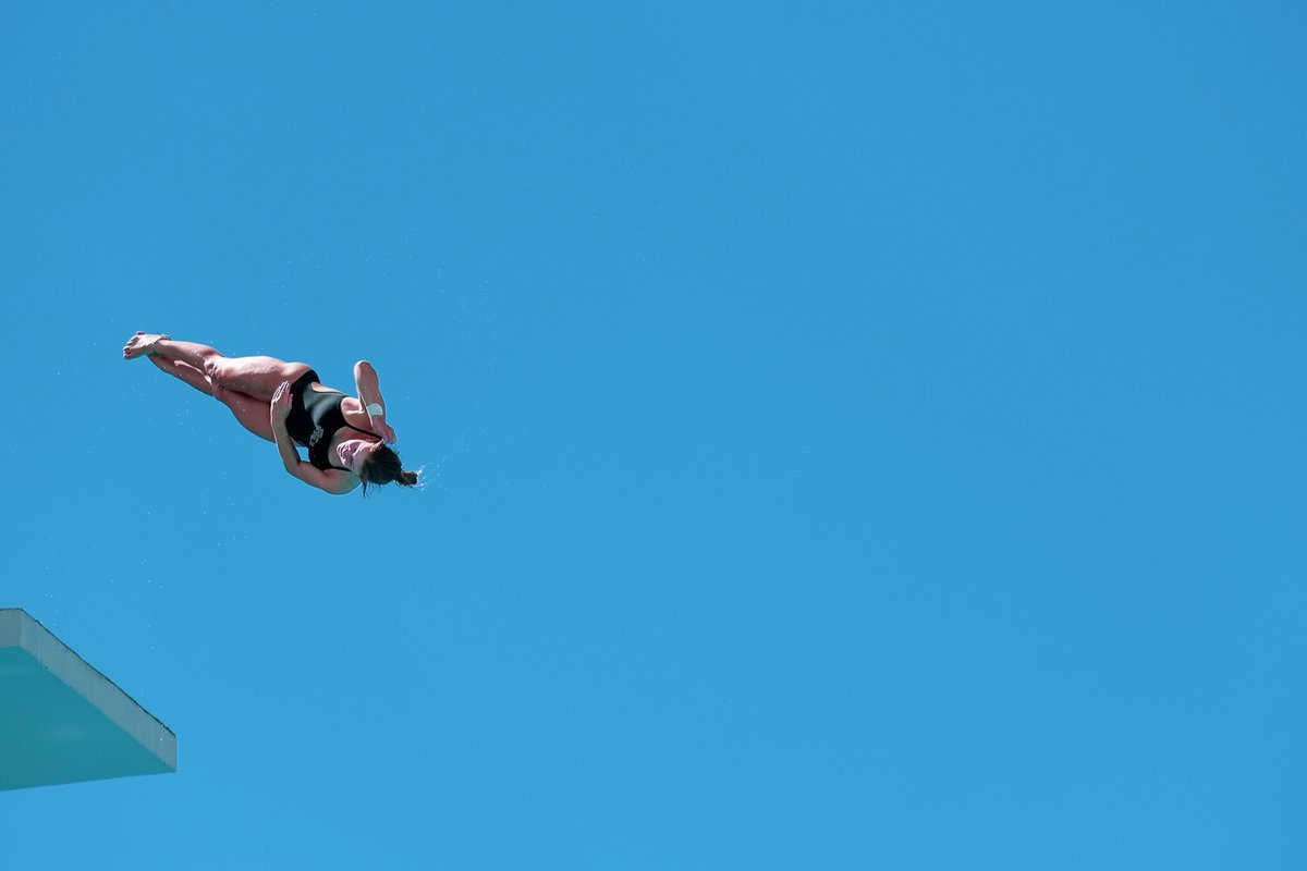 Neal Studd Swim Camp @ Florida State University - Home