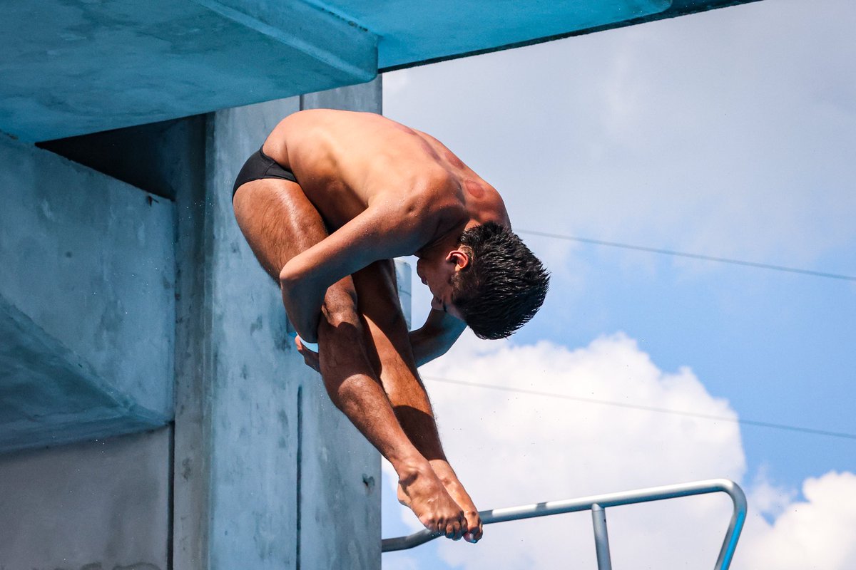 Neal Studd Swim Camp @ Florida State University - Home