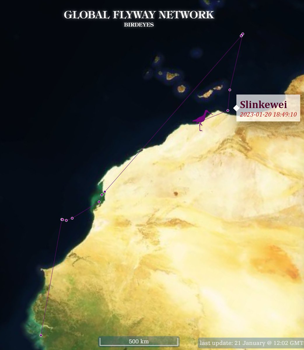 Global Flyway Network - Birds connecting the dots