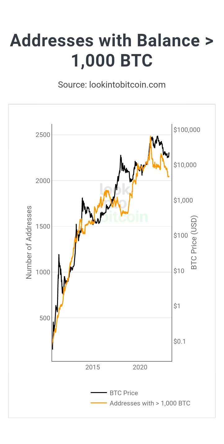 Trader_J (@Trader_Jibon) / Twitter