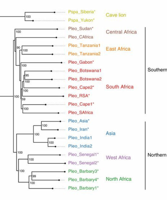 In 2014, a naturalist and two historians posited a theory about a major ...