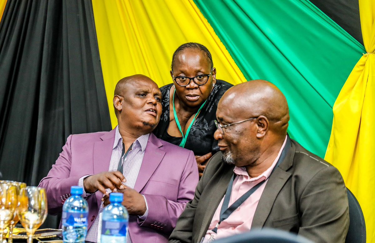 ANC SG & RSA MINISTER| Cde Mbalula on Twitter: "This evening, with members of the ANC NEC, we ...