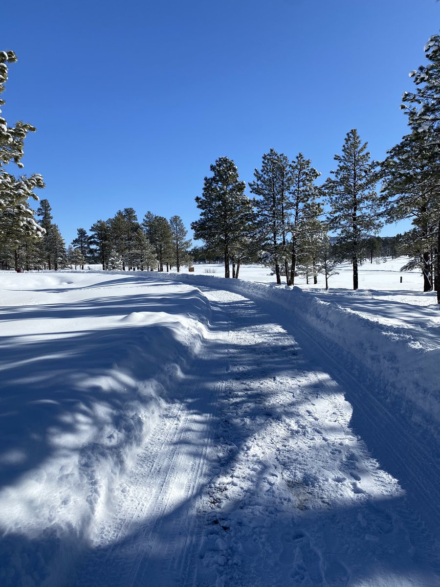 爱唠叨的老王 On Twitter 这几天没别的就是雪,昨晚去中国餐馆吃了一顿。这种改良后的中餐,你别说我还挺爱吃。