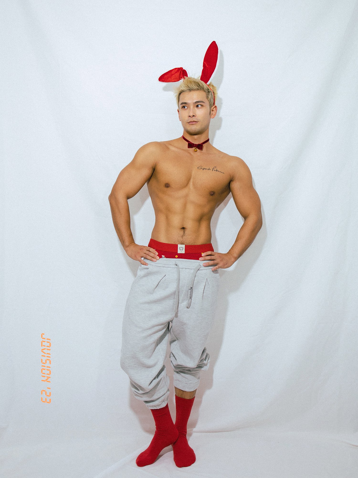 Jerry Q. on Twitter: "Year of The Rabbit🐰 @JQ__vision https://t.co/3nBYP41jkM" / Twitter