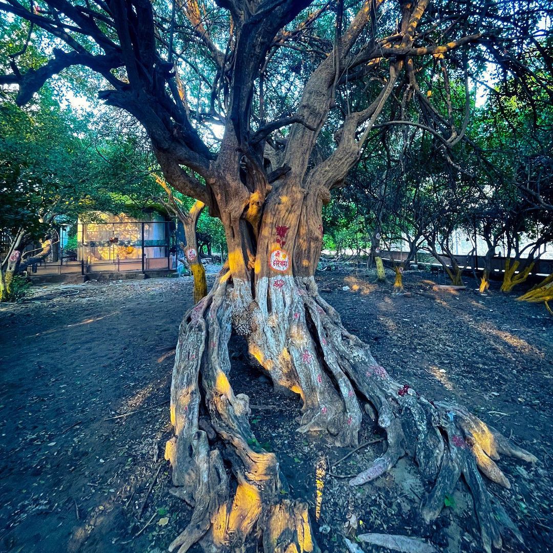 20. divine places of Shri Krishna & RadhaRani ji in Mathura & Vrindavan ...