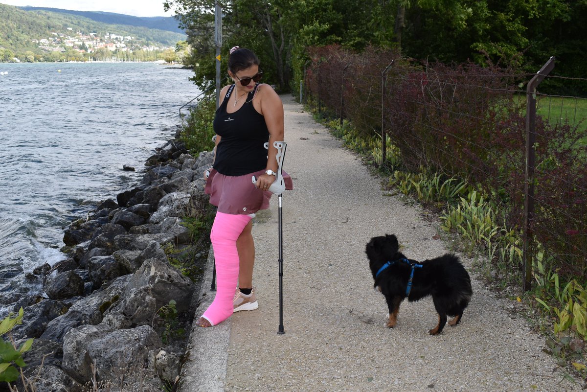 SwissCaster on Twitter: "https://patreon.com/posts/vanessa-llc-dog-72054361?utm_medium=social ...