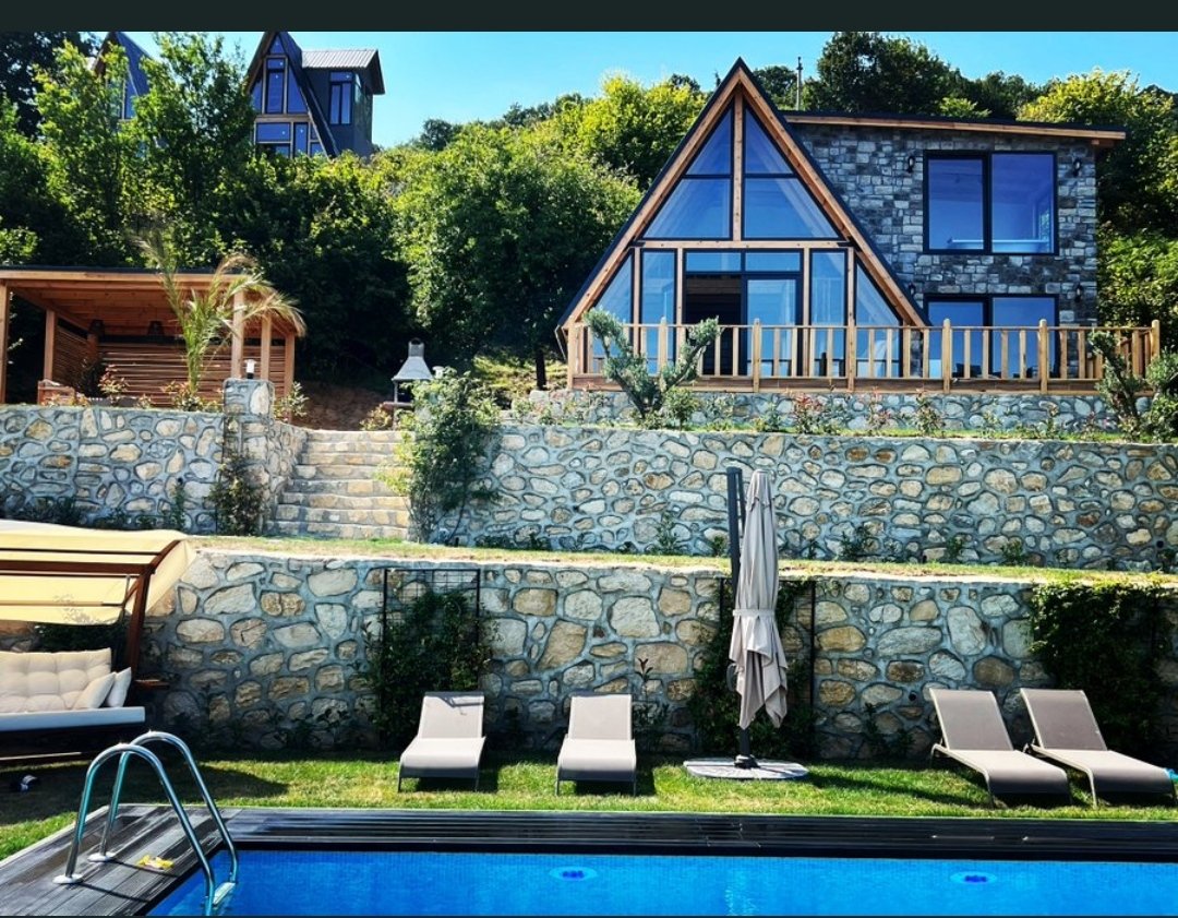 Prens And Prensess on Twitter: "@stevedabitcoin @ProfDemirtas Mütevazı olmayın Steve abi 💚 https ...