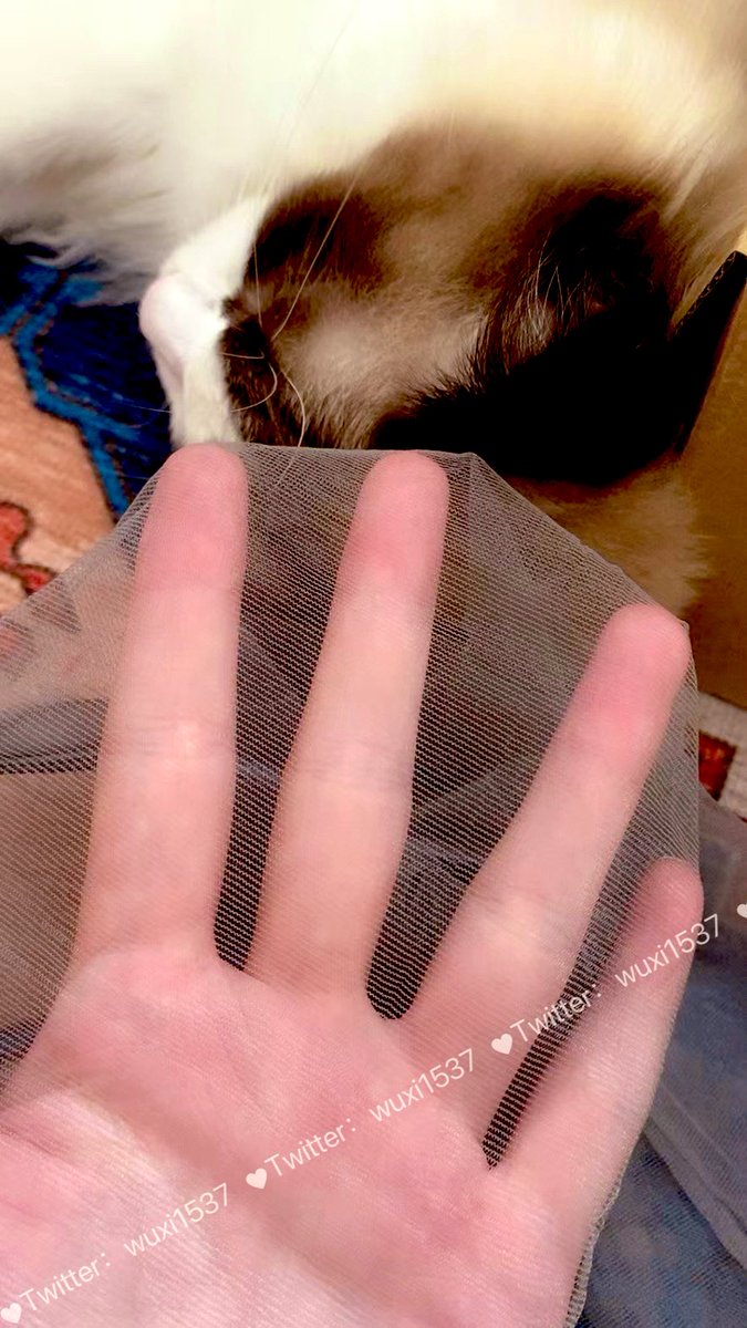 初十dom🖤 On Twitter 客订0d空姐灰 还有紫色 肉色 可排单 原味卖家 恋足 原味丝袜 原味内裤 原味白袜 原味零食