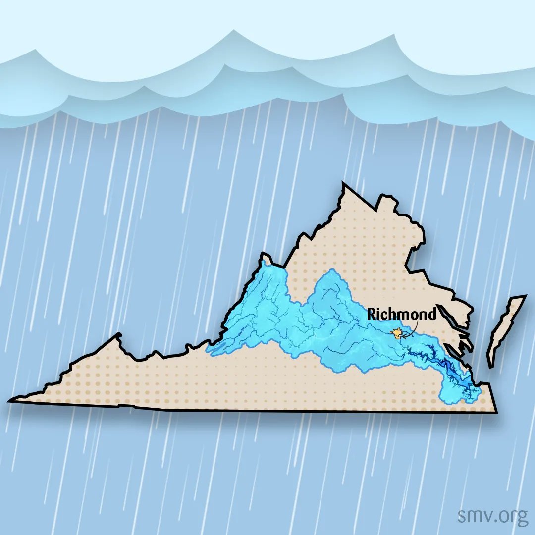 Activate Virginia on Twitter: "RT @ScienceMusofVA: Where does all this ...