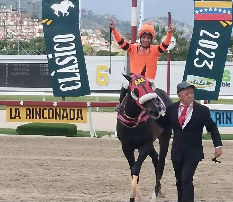 Las gríngolas, implemento correctivo y delicado en el purasangre de ...