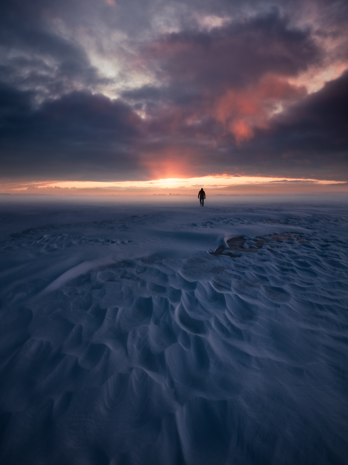 Mikko Lagerstedt on Twitter: "Photos from the north https://t.co/PDVuGm7c6R" / Twitter