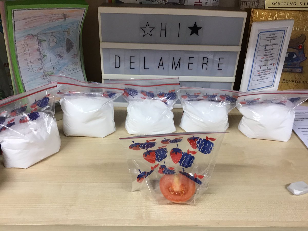 Science | Rudston Primary School