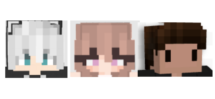 Minecraft Skin Girl With Brown Hair