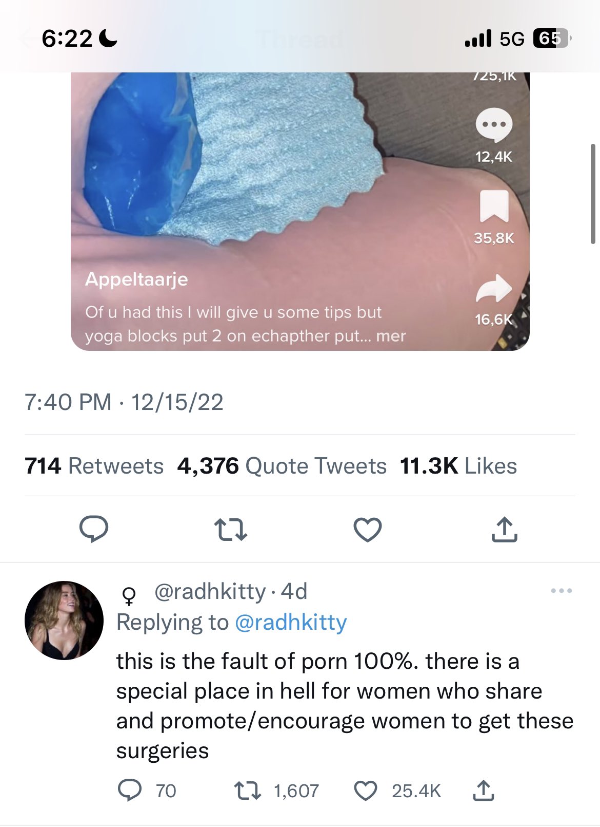 esoteric butch realness on Twitter: "TERFs are almost always anti-porn and anti-sex work ...