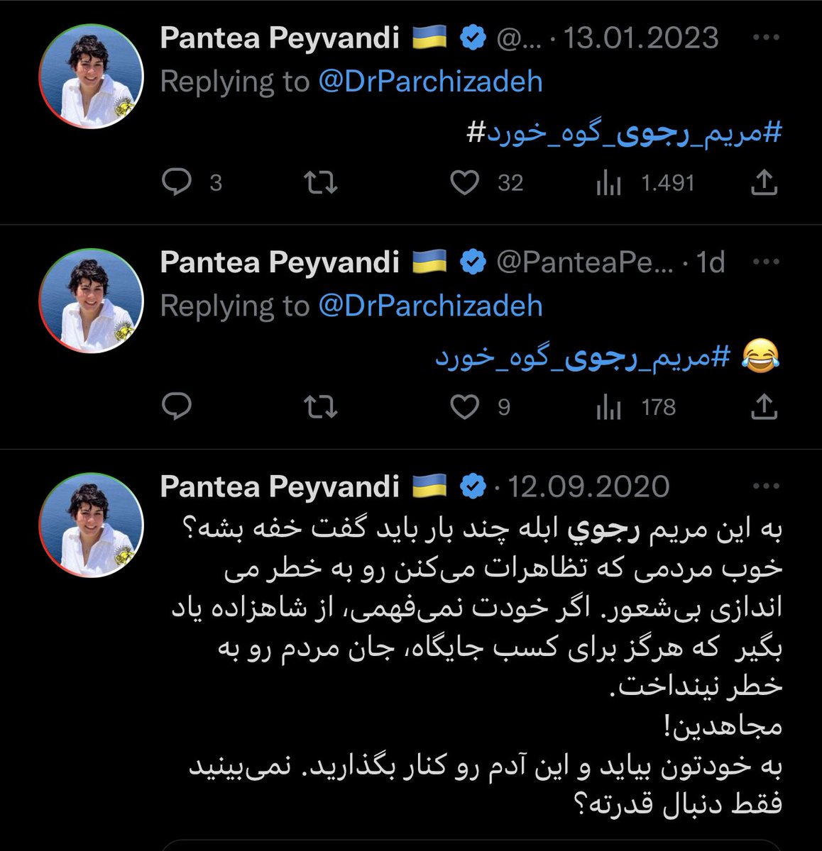 🏳️🌈 دختری که بیست اکانتش پَرید ولی هنوز هست On Twitter برای زدن