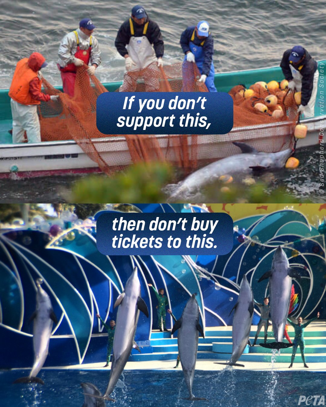 PETA on Twitter: "If you’re appalled by the bloodshed on #Taiji, Japan’s coast, you should ...