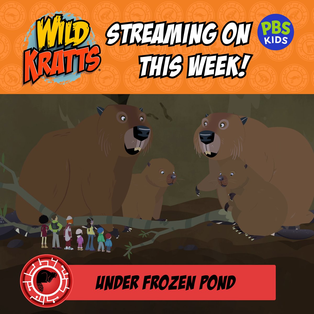 Wild Kratts on Twitter: "Wild Kratts Episodes Streaming on the @PBSKIDS ...