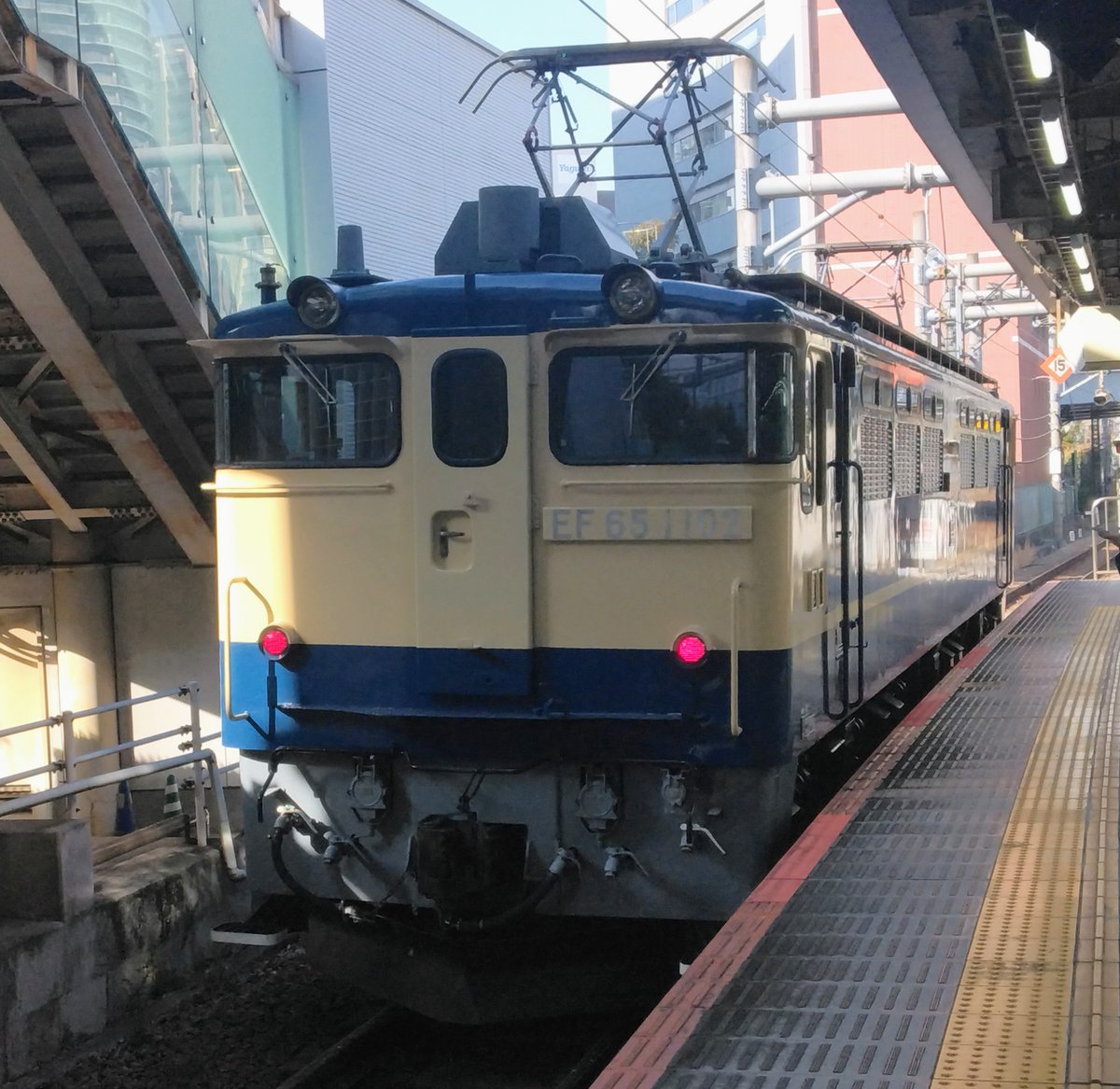 531系ファン on Twitter: "2023/1/24 単9825レ EF65 1102[尾] 東高島工臨 牽引機返却"