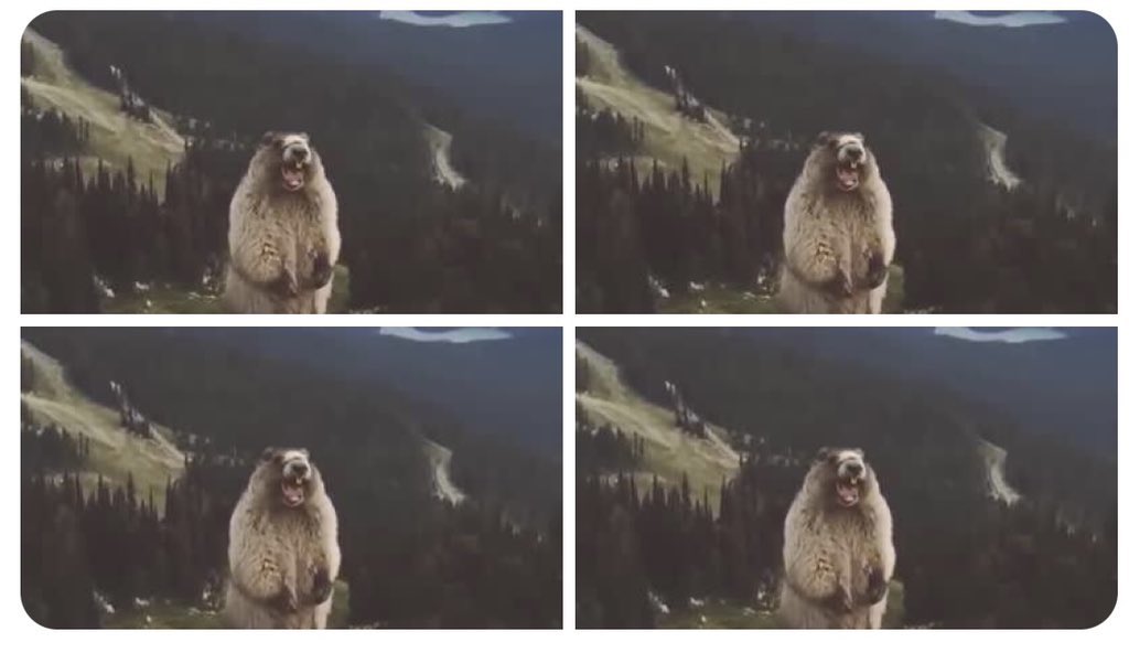 ましろ犬@c105 日曜日 東 ヨ-28bの漫画