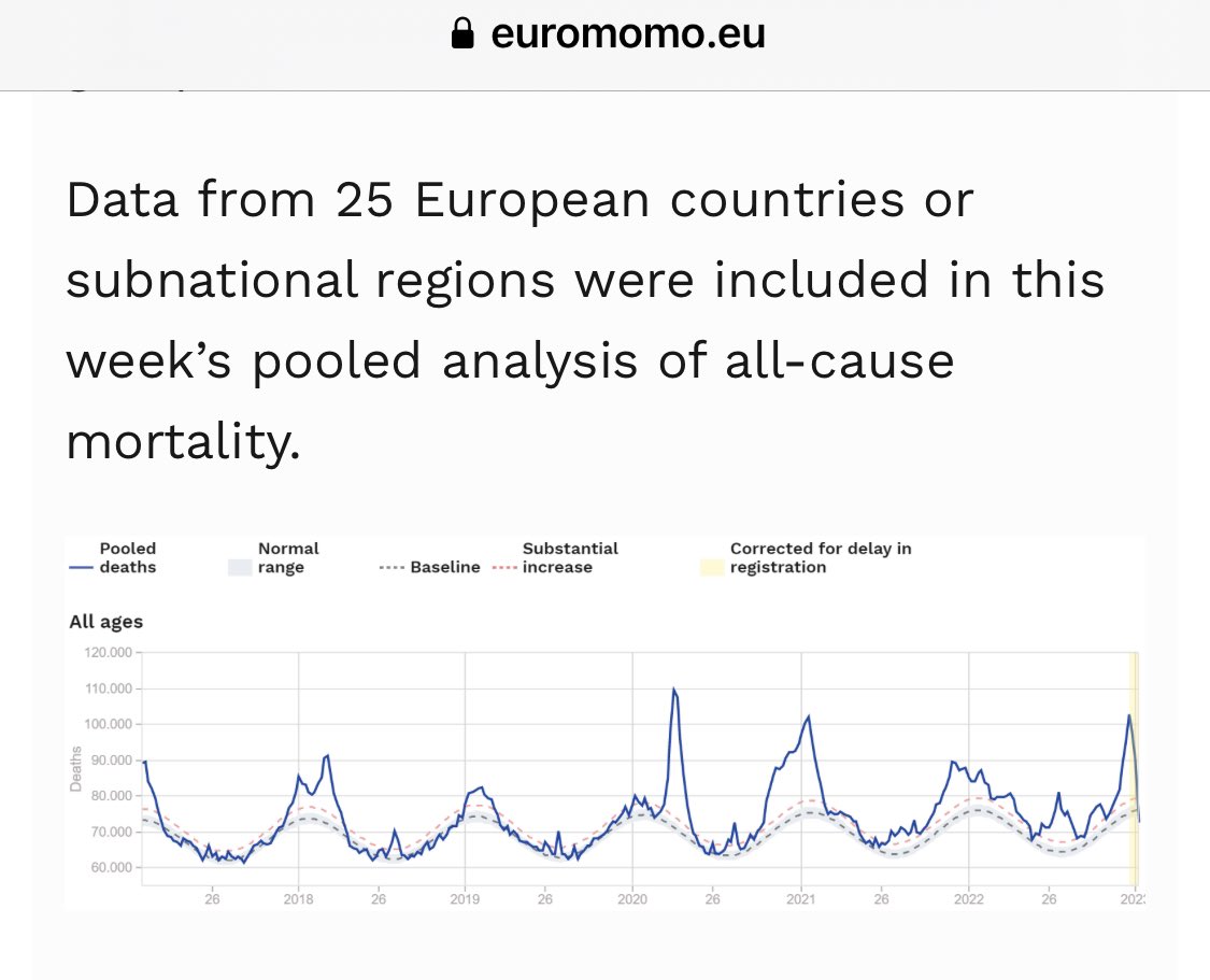 Katja Brändle on Twitter: "EuroMOMO-Daten zeigen anhaltend hohe Übersterblichkeit, die nicht auf ...
