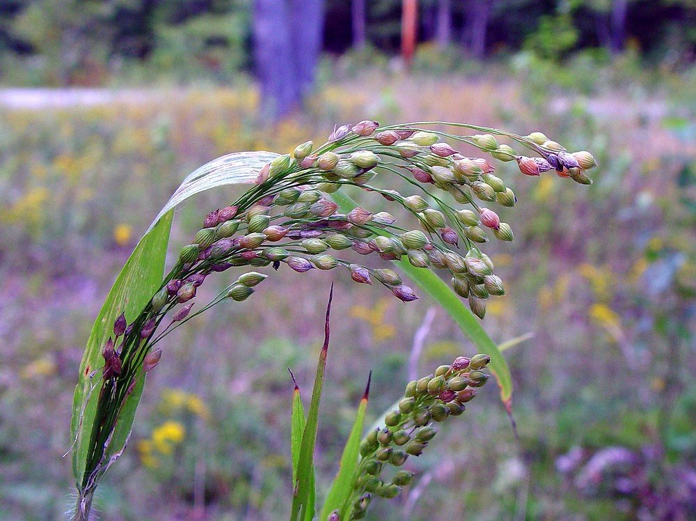 The time has come for me to make a choice. Keep posting low-engagement ...