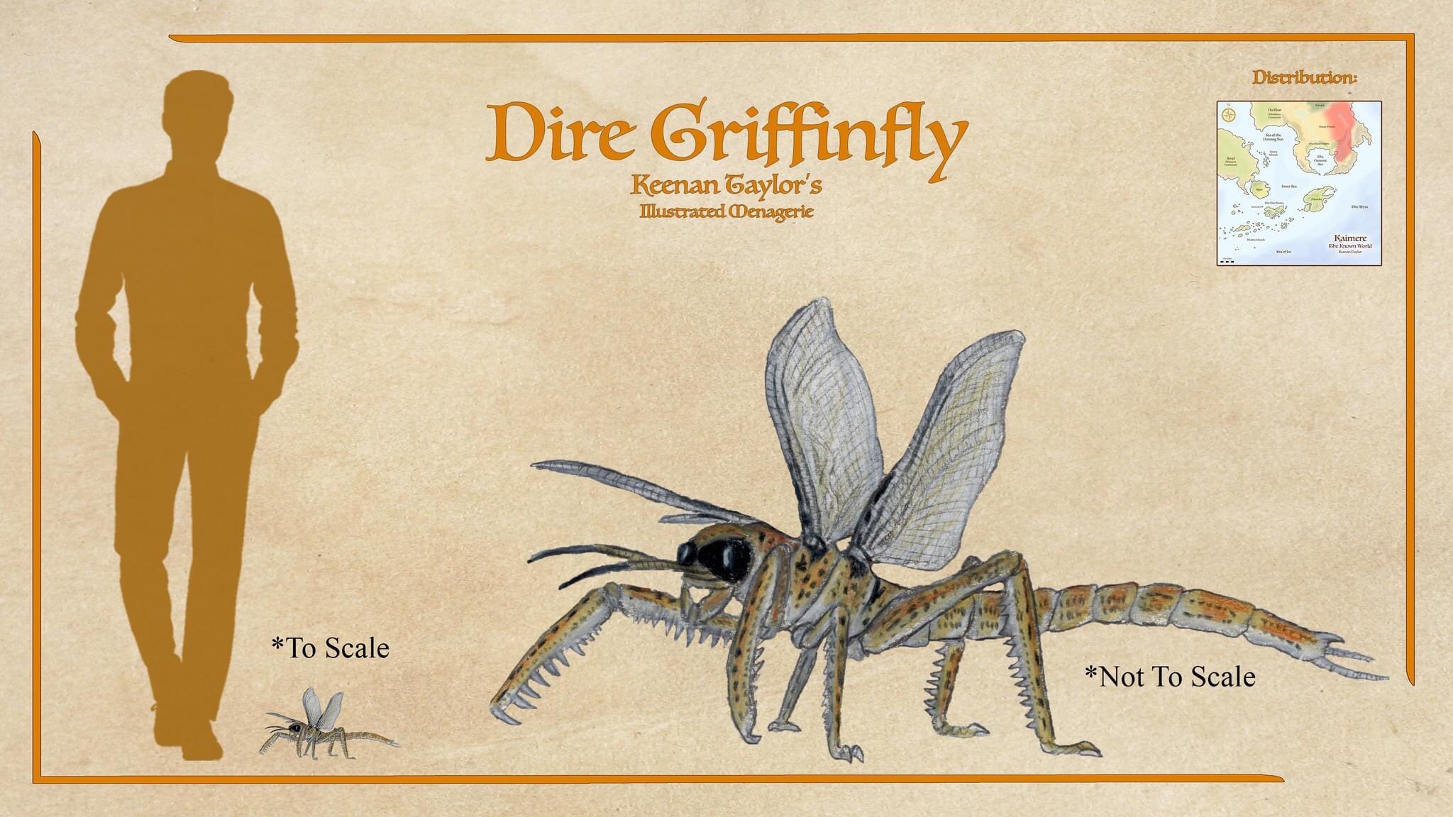 Largest Flying Insects