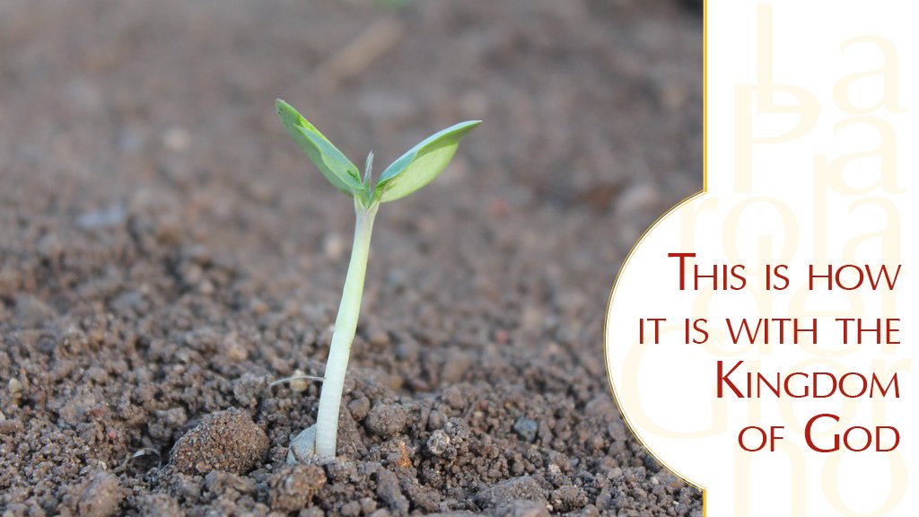 Gospel of the Day: (Mark 4,26-34) "[The kingdom of God] is like a ...