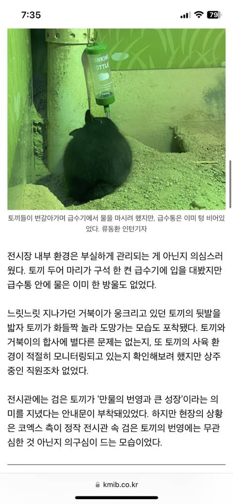 인스티즈(instiz) on Twitter: "검은색 새끼토끼 "전시”한코엑스.. 토끼들 결국 행방불명 직원도 몰라 (링크에 더있어요👉) https://instiz.net ...