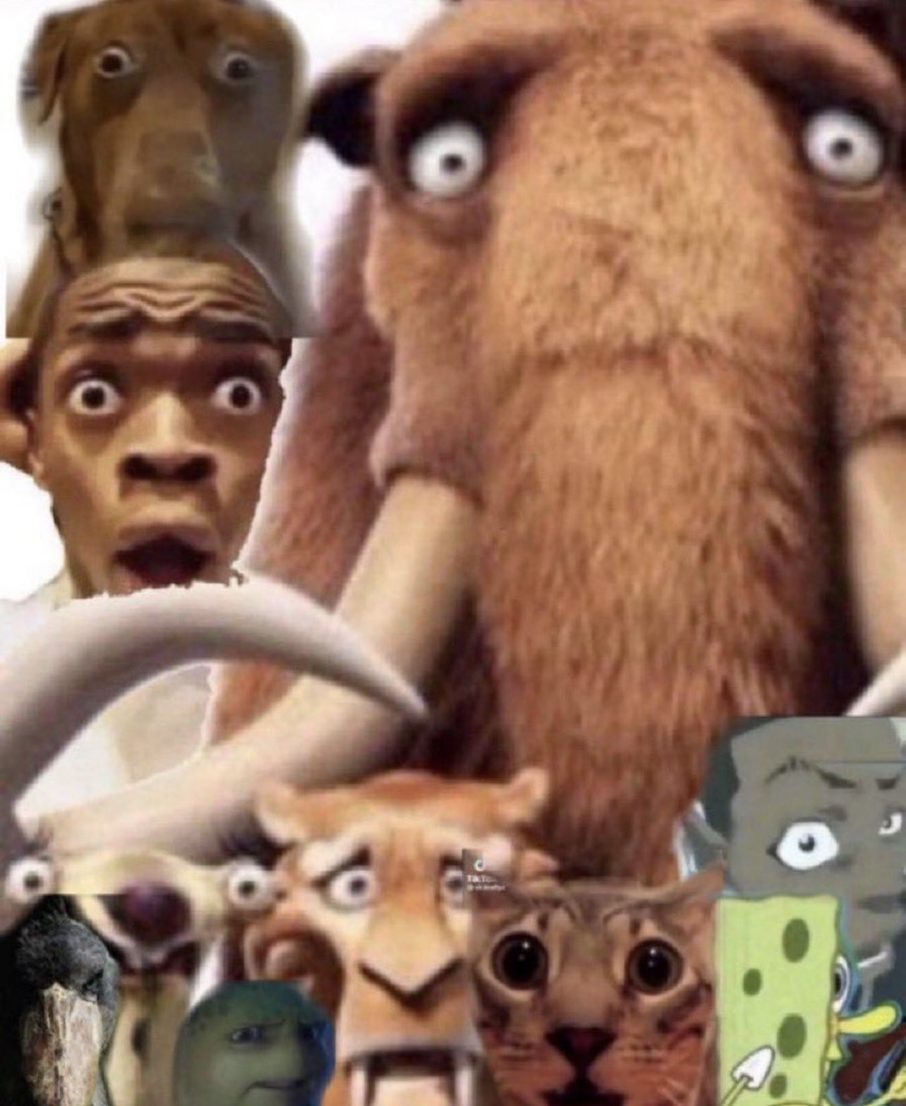 Triptrap on Twitter: "@realRubenSim https://t.co/Ge9MeiZBXW" / Twitter