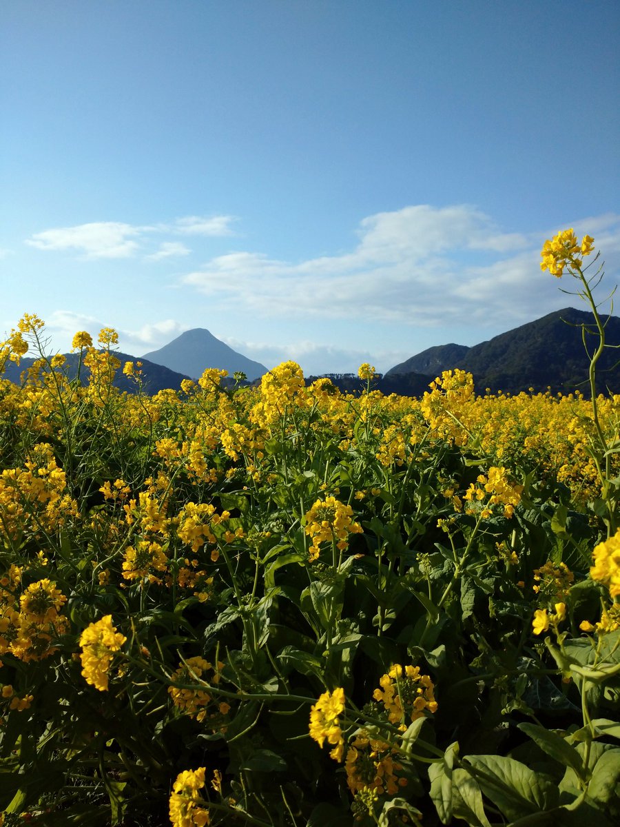 宵月夜の蟹(@lost_zero_) - Twilog (ツイログ)