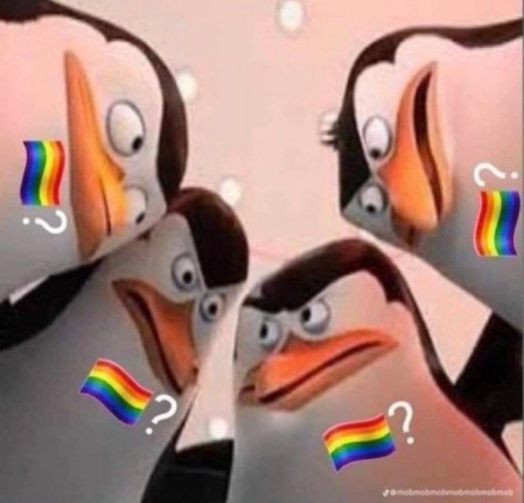 Scared Penguin Madagascar