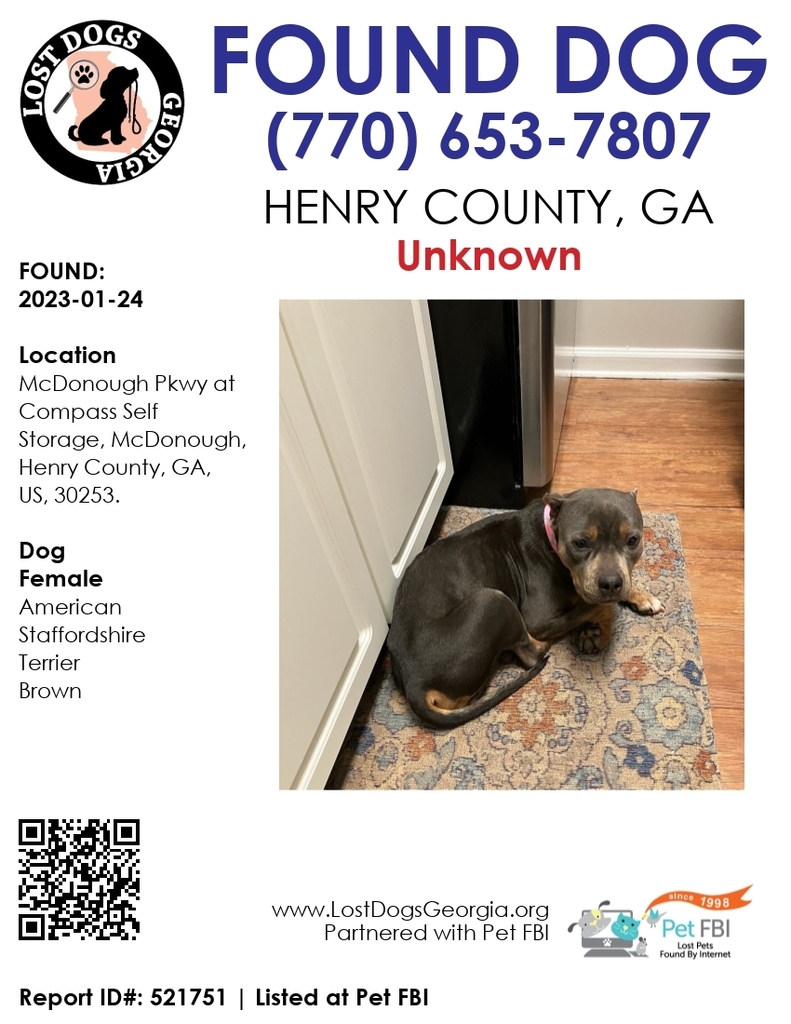 Where Do I Report A Found Dog
