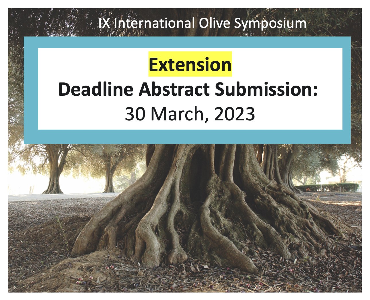 IX International Olive Symposium 2023 (@ishs_olive2023) / Twitter