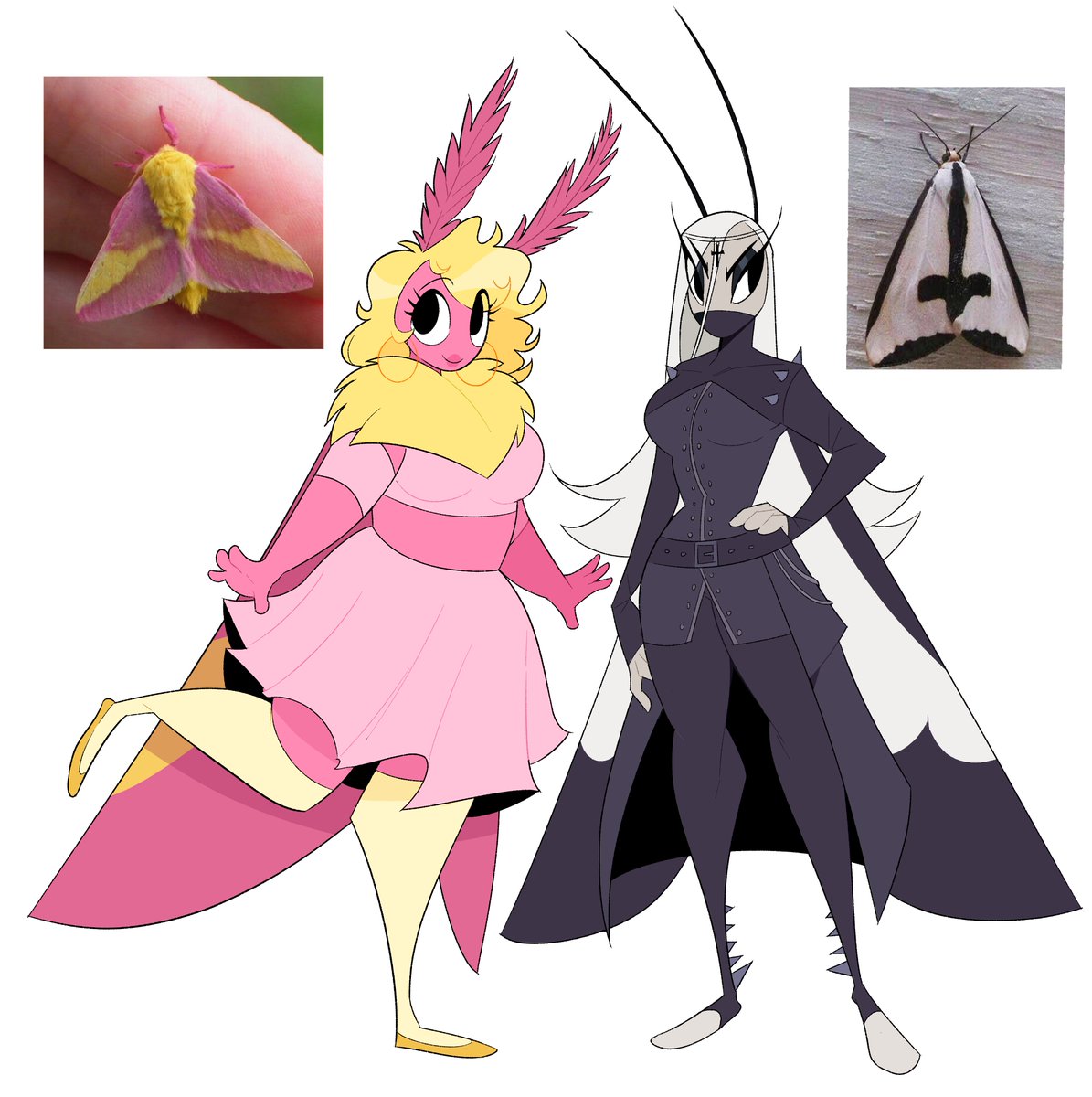 「i was 20-21 years old when i drew these pictures that paid o」Bug ...