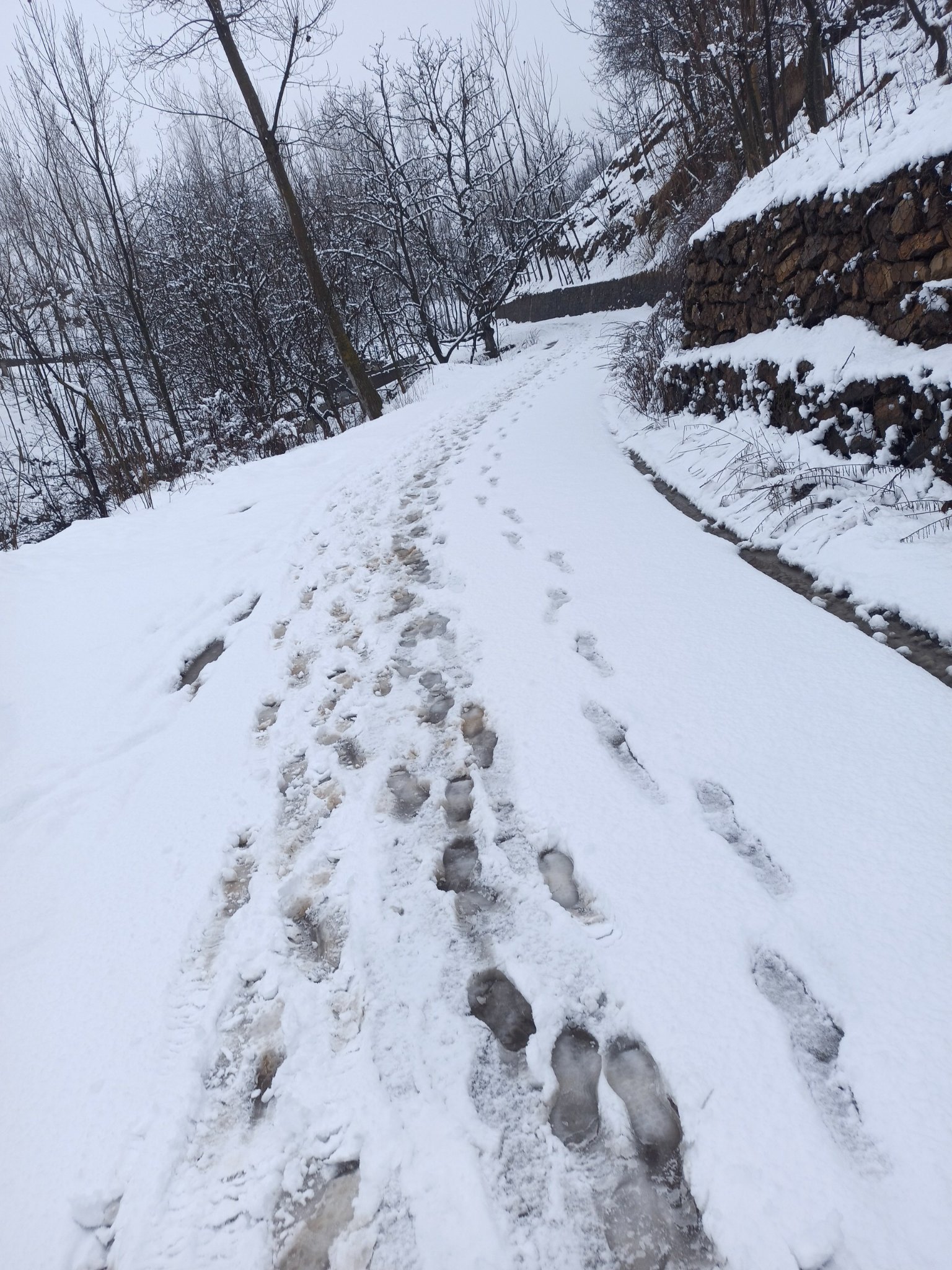 Yasir mukhtar Bhat (@YasirmukhtarBh1) / Twitter