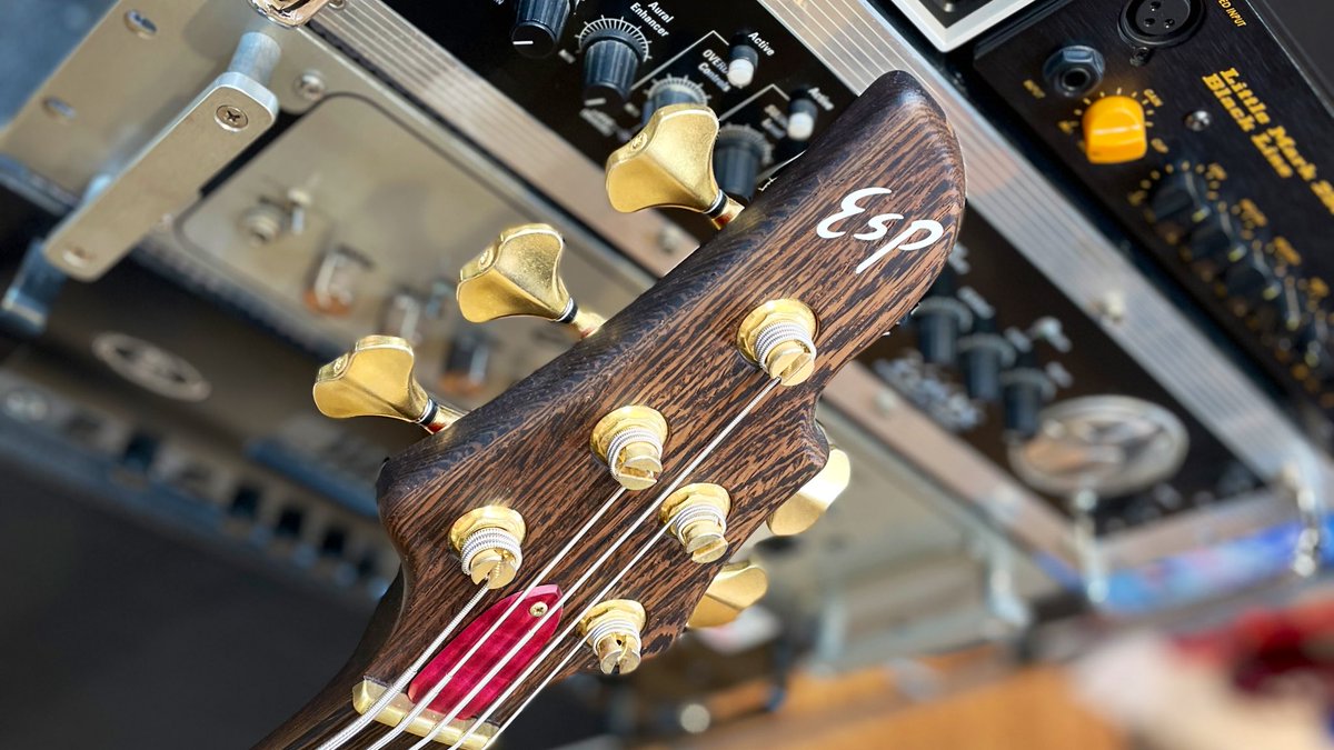 ESP御茶ノ水テクニカルハウス on Twitter: "ESP Order HALIBUT HALIBUTをベースにオーダーならではの厳選された特殊材をギルドブビンガをトップにラミネートされ ...