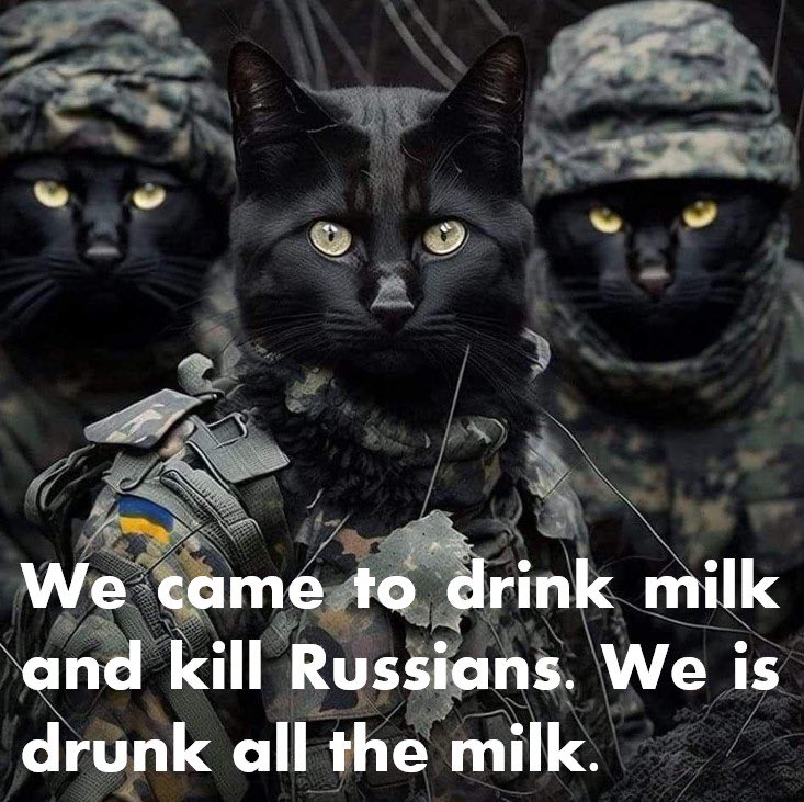 tremayne johnson on Twitter: