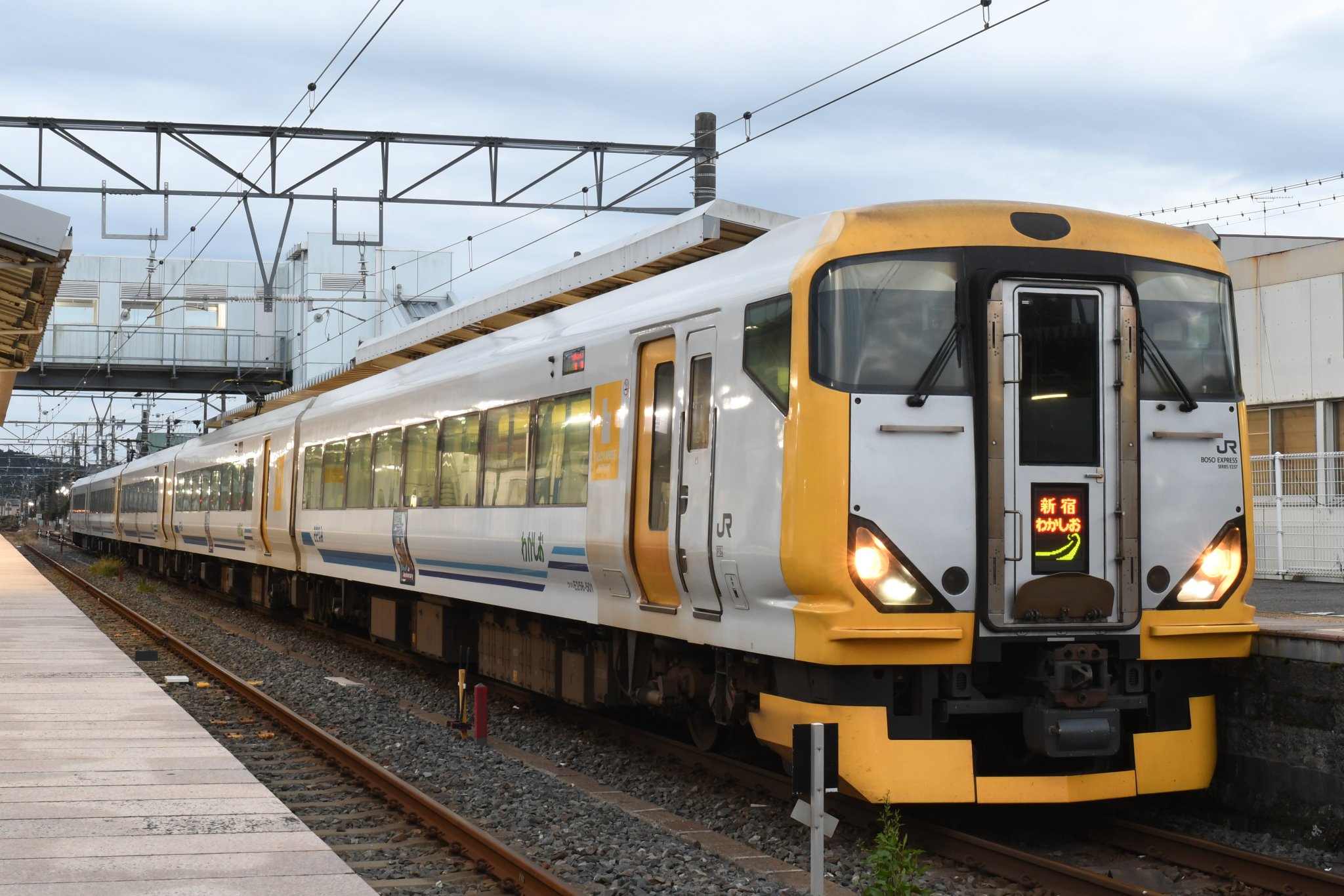 い鉄 on Twitter: "2023.1.21 外房線 E257系500番台 NB-01編成 9056M 特急新宿わかしお号 新宿行 わかしお・さざなみ50周年記念ラッピングの編成が新宿 ...