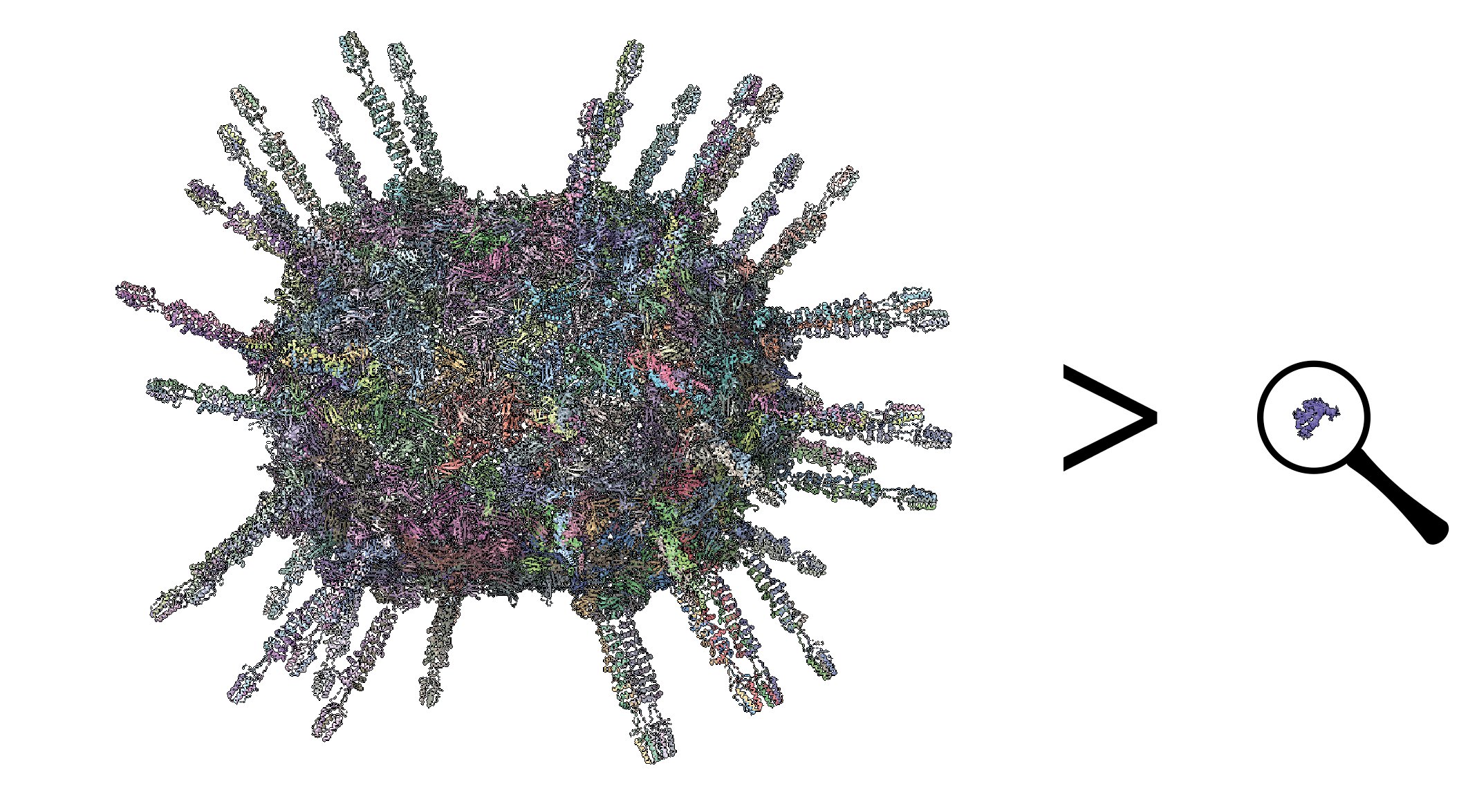 @BayerFoundation/BF Fellowship Awardees / Twitter