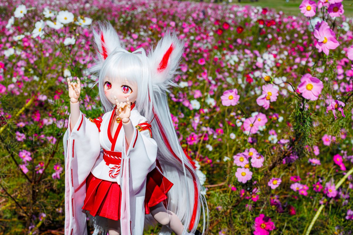 チコイ (@tikoi_doll) さんのモデル作品まとめ (513 件) - Twoucan