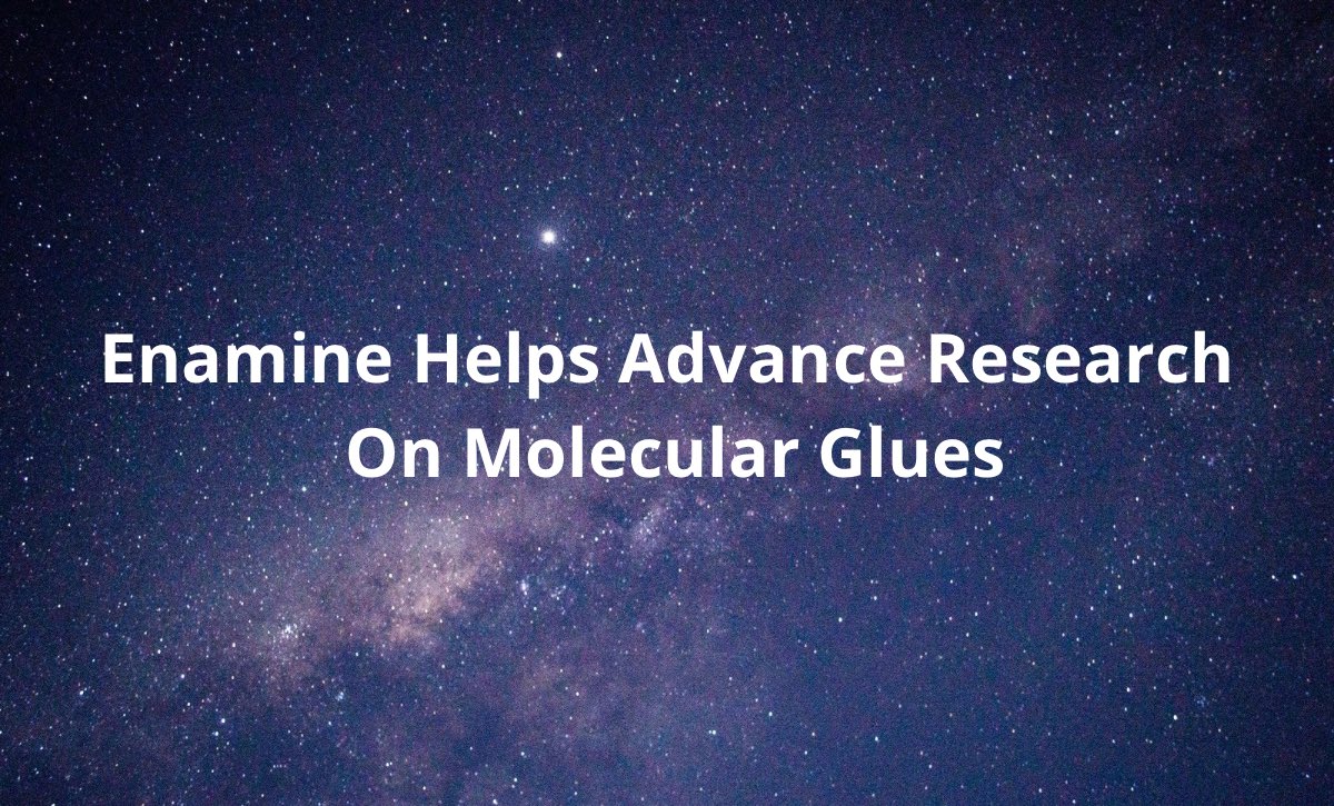 Enamine Ltd 🇺🇦 on Twitter: "Enamine is excited to acknowledge its long-standing relationship ...