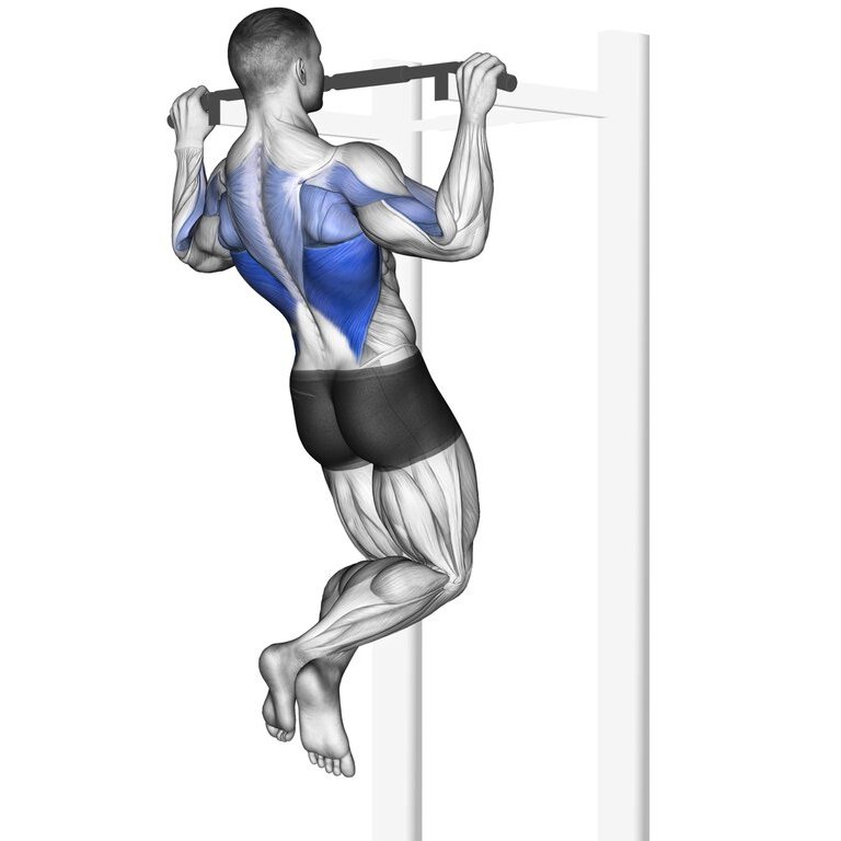 Apprends a faire des traction en 30 jours 🧵Thread🧵 - Thread from Dan I ...