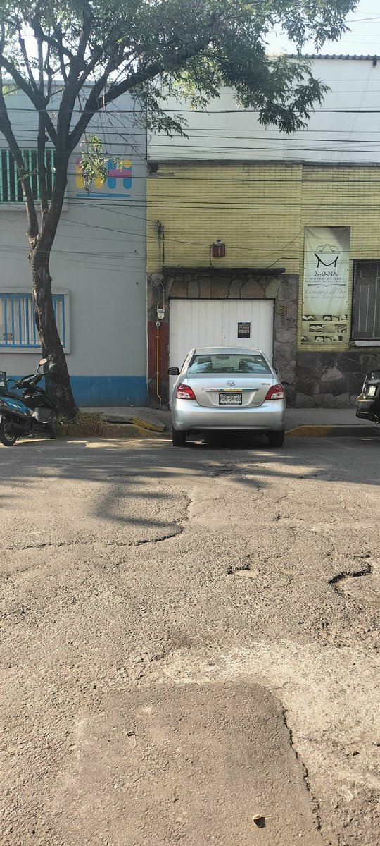 Peatonsito en Oaxaca 🇲🇽 🦜♻️ on Twitter: Peatonsito en Oaxaca 🇲🇽 🦜♻️ on Twitter: