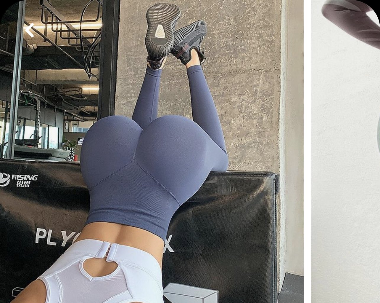 Gym Bunny Sports Wear Gymbunnylimited Twitter