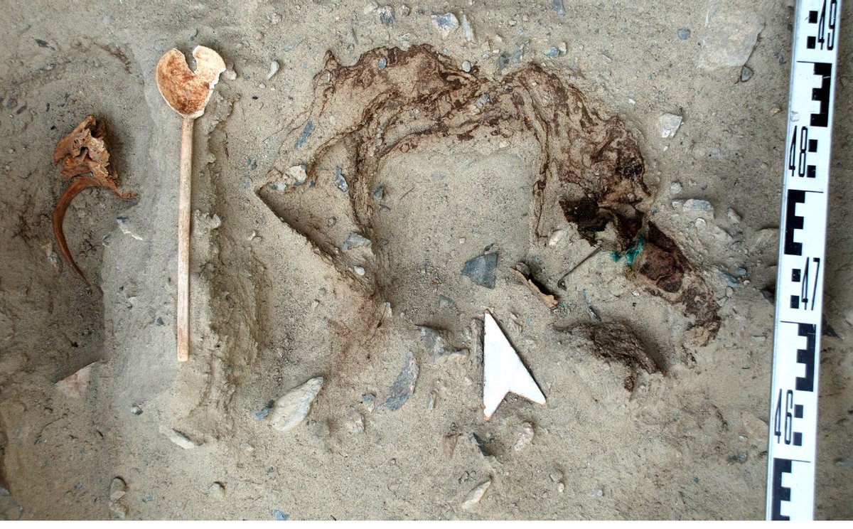 A f3-statistic network for selected Eurasians with an emphasis on the ...
