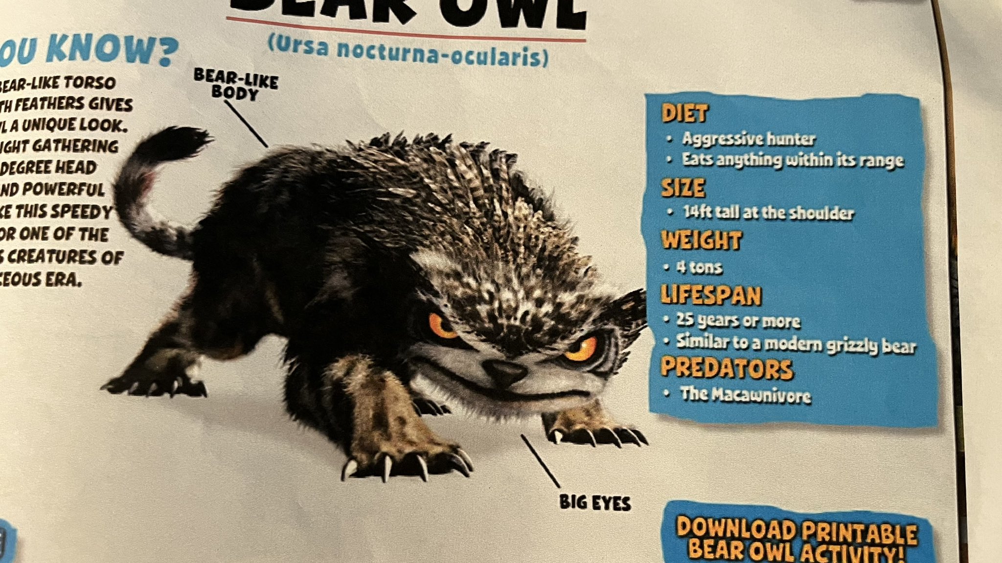 Isaiah Garza on Twitter: "@j_stocky One weird I just remembered that in this official fact sheet ...