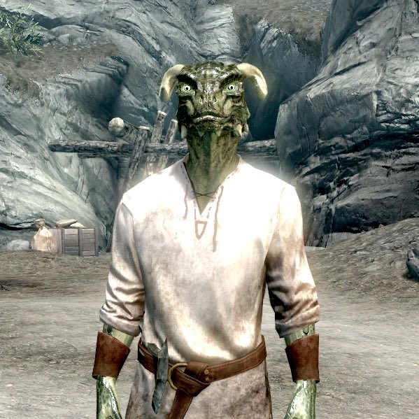 Will Wiesenfeld on Twitter: "in skyrim, if u play as a man & gay marry Derkeethus, the instant ...